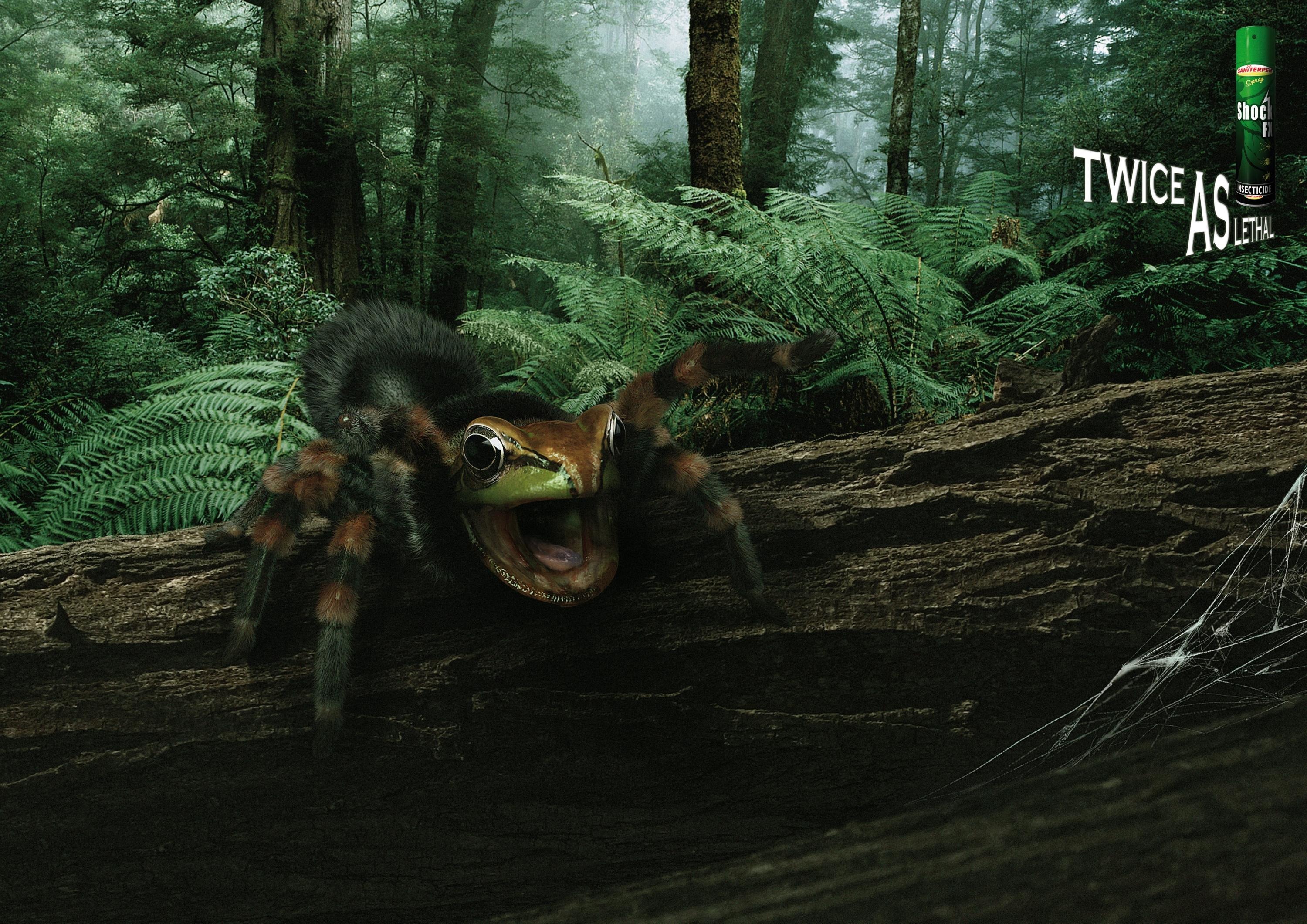 SHOCK FX INSECTICIDE | Campaign | THE WORK