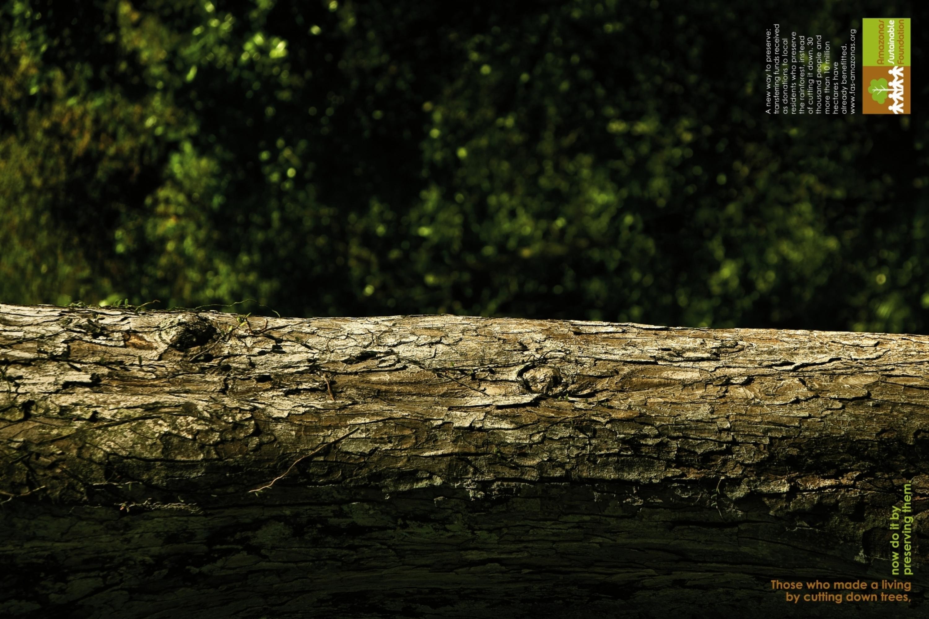 RAINFOREST PRESERVATION | Campaign | THE WORK