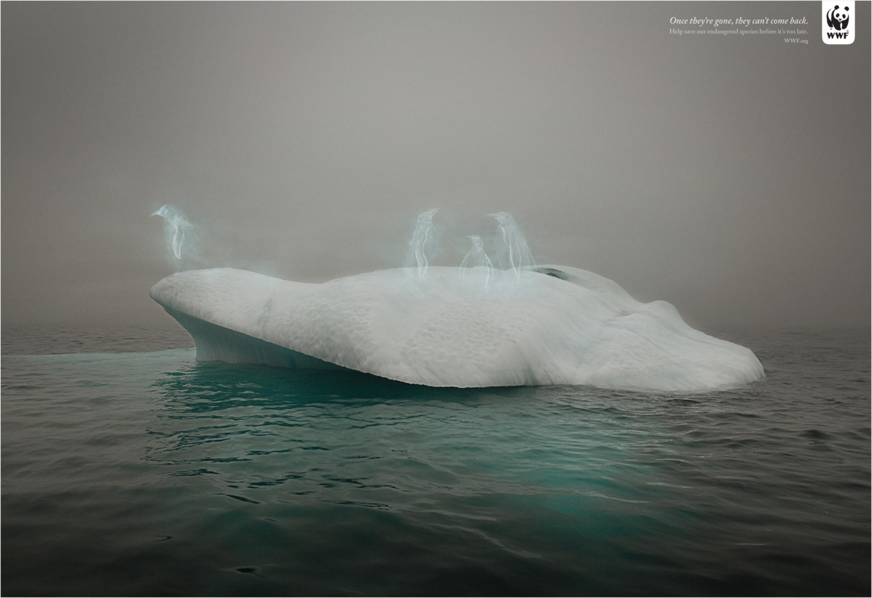 WWF | Campaign | THE WORK