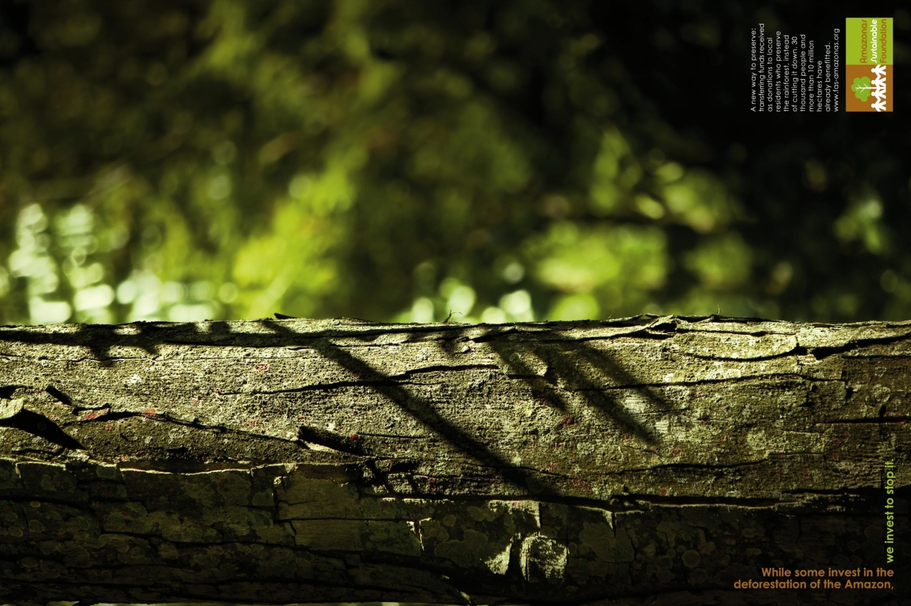 RAINFOREST PRESERVATION | Campaign | THE WORK