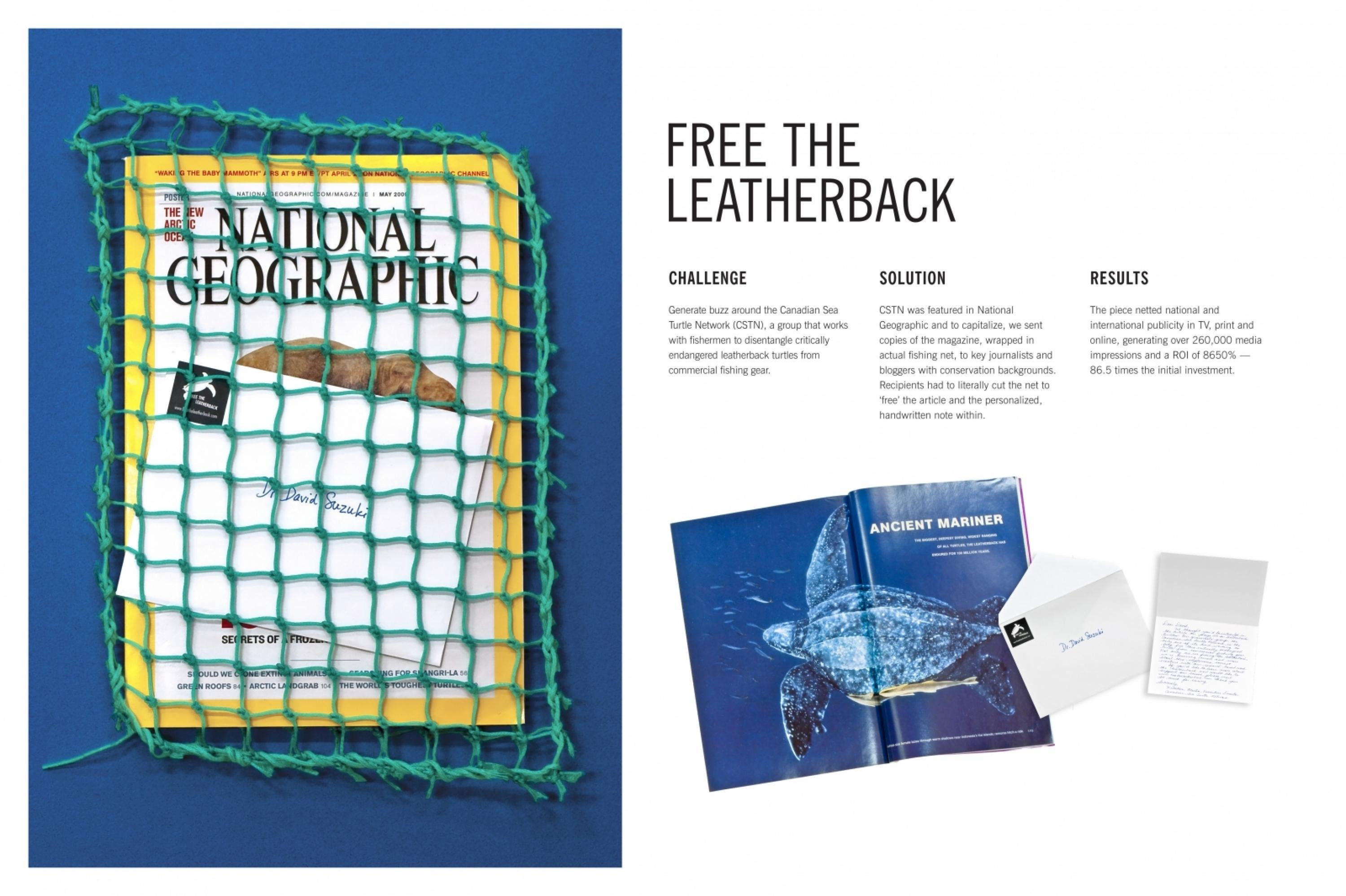 SEA TURTLE CONSERVATION | Campaign | THE WORK